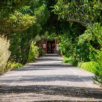 MUCBO | Jardí Botànic de Sóller - Balearic Museum of Natural Sciences - What You Can Expect at the MUCBO Jardí Botànic de Sóller