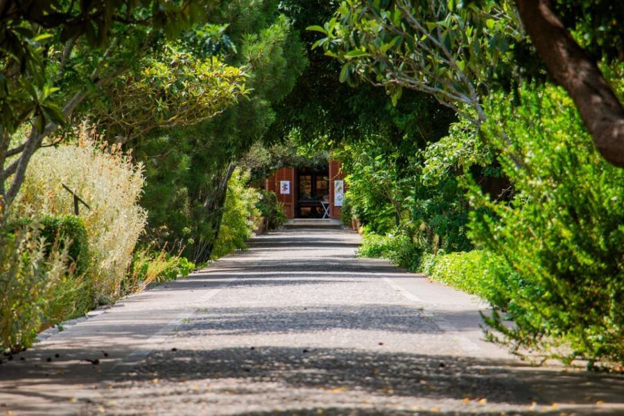 MUCBO | Jardí Botànic de Sóller - Balearic Museum of Natural Sciences - What You Can Expect at the MUCBO Jardí Botànic de Sóller