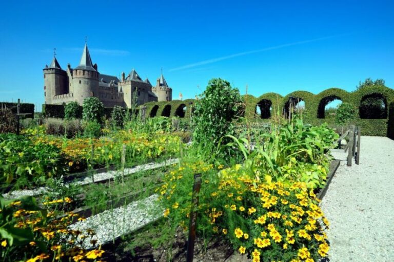 Muiden: Entry Ticket to Muiderslot Castle - Key Points