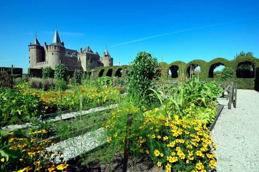 Muiden: Entry Ticket to Muiderslot Castle - Key Points