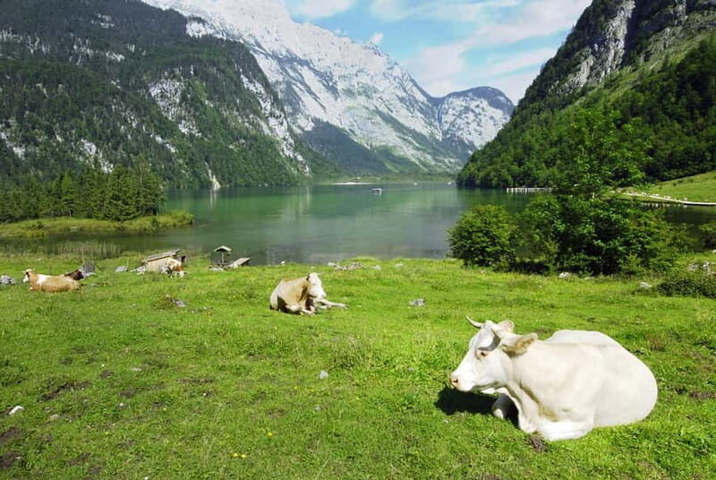 Munich: Private Lake Königssee & Salt Mine Tour with Lunch - Lake Königssee: The Heart of the Experience