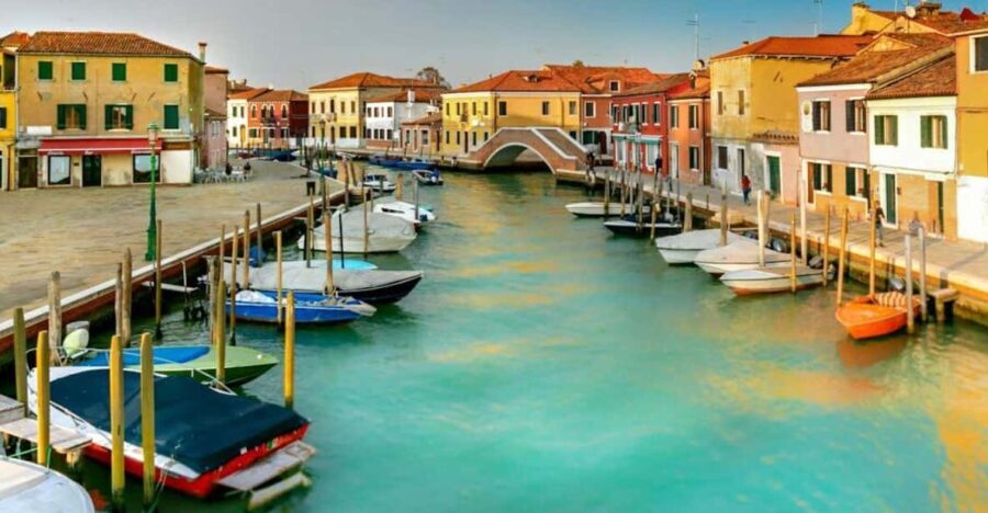 Murano: Walking Tour & Glass Factory with Local Guide - Who Will Enjoy This Tour?