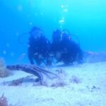 My first scuba dive in the Ocean from Madeira - Who Should Consider This Experience?
