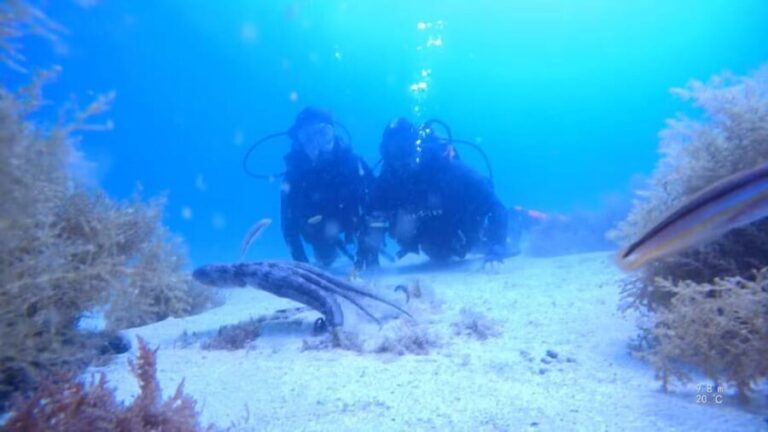 My first scuba dive in the Ocean from Madeira - Who Should Consider This Experience?