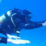 My first scuba dive into the Ocean from Sao Miguel - What to Expect from Your Scuba Adventure