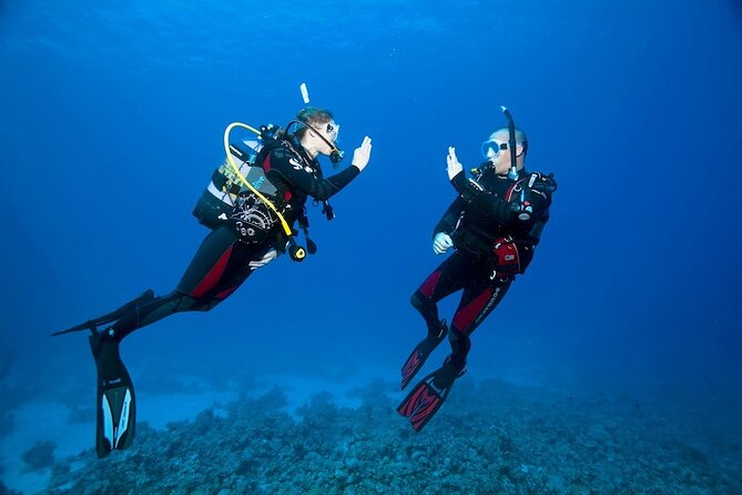 My first scuba experience in the Ocean - My First Scuba Experience in the Ocean