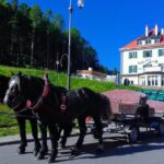 MY*GUiDE EXCLUSiVE Neuschwanstein Tour INCL. TICKETS from GARMISCH-PARTENKIRCHEN - Detailed Breakdown of the Tour Experience