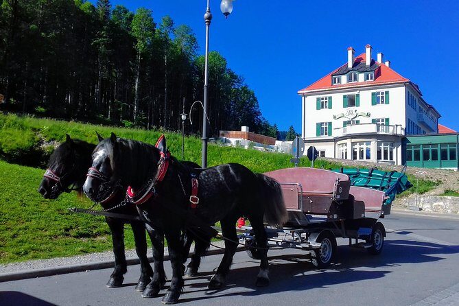 MY*GUiDE EXCLUSiVE Neuschwanstein Tour INCL. TICKETS from GARMISCH-PARTENKIRCHEN - Detailed Breakdown of the Tour Experience