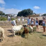 Mykonos Highlights Tour - A Closer Look at the Mykonos Highlights Tour