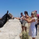Mykonos: Highlights Tour with Panagia Tourliani Monastery - An In-Depth Look at the Tour Itinerary