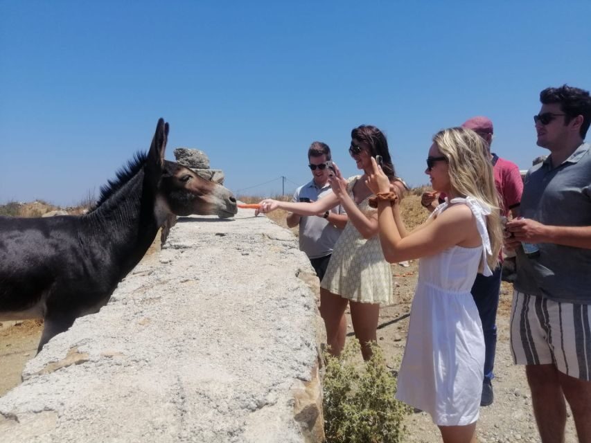 Mykonos: Highlights Tour with Panagia Tourliani Monastery - An In-Depth Look at the Tour Itinerary
