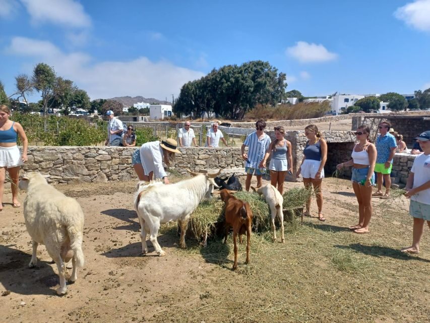 Mykonos Highlights Tour - A Closer Look at the Mykonos Highlights Tour