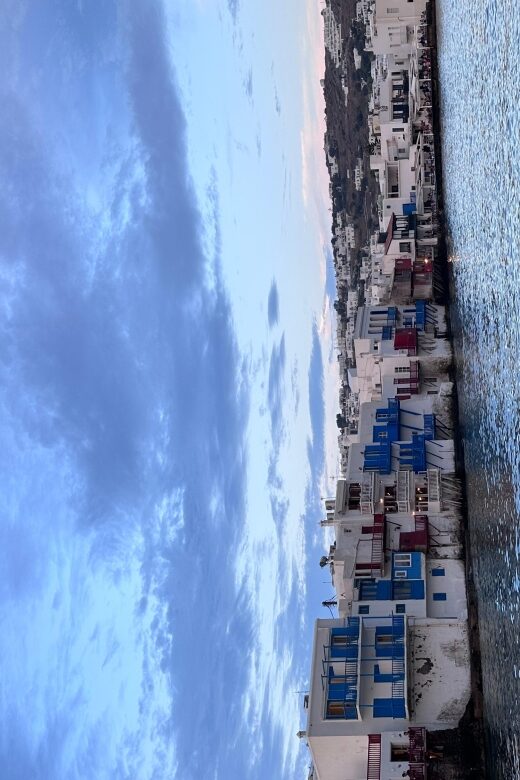 Mykonos: private half-day cruise south beaches of Mykonos - Analyzing Value and Practicalities