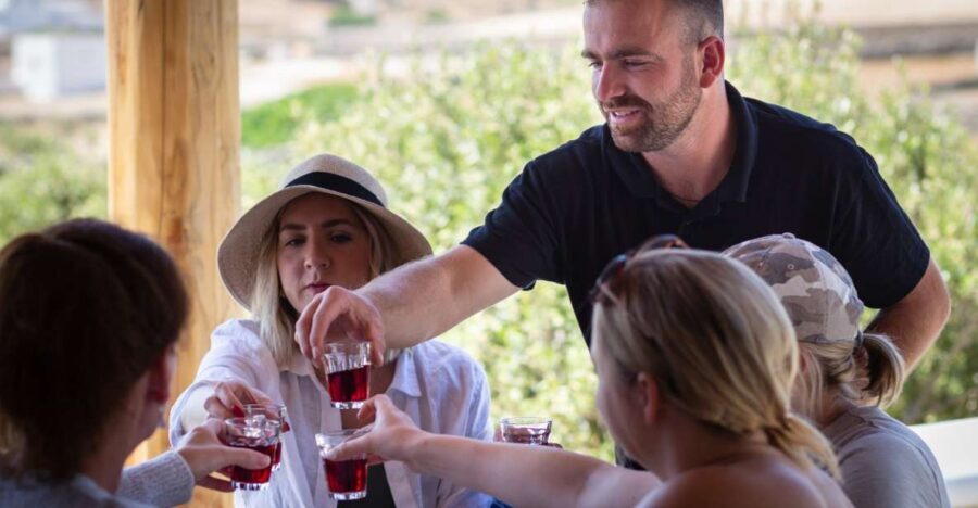 Mykonos: Winery Vineyard Experience with Food & Wine Tasting - The Value of the Experience