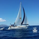 Mykonos: Yacht Cruise to Rhenia and Guided Tour of Delos - Value and Pricing Analysis