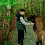 N. Ireland: Award Winning Guided Scenic Alpaca Trekking - What’s Included and What’s Not