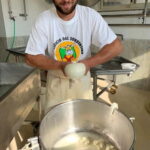 Naples: Mozzarella Experience, Taste of Southern Italy - The Itinerary: What You’ll Experience