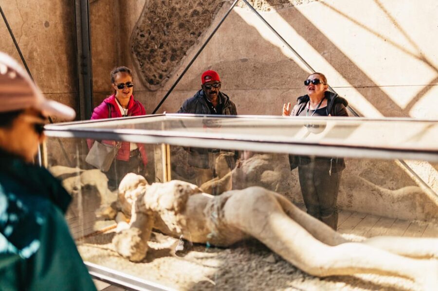 Naples: Pompeii and Mt. Vesuvius with Lunch and Wine Tasting - The Ride to History and Volcano