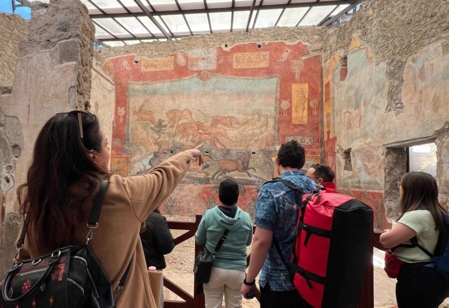 Naples: Pompeii & Mt. Vesuvius Day Trip with Tickets & Lunch - Key Points