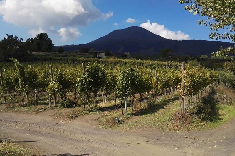 Naples: Pompeii Private Guided & Vesuvius Hiking Tour - Detailed Breakdown of the Itinerary