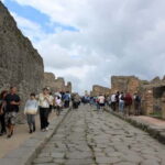 Naples: Private Pompeii & Vesuvius Tour with Driver - Who Will Love This Tour?