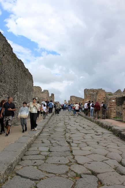 Naples: Private Pompeii & Vesuvius Tour with Driver - Who Will Love This Tour?