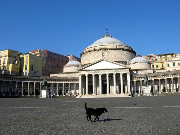 Napoli City Tour - Wheelchair Accessible Tour - Key Points