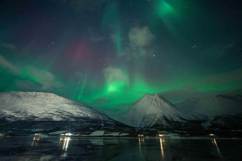 Narvik: Northern Lights Guided Tour with Photography Tips - The Experience of Chasing the Lights
