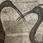 National Archaeological Museum of Naples Private Guided Tour - An In-Depth Look at the Tour