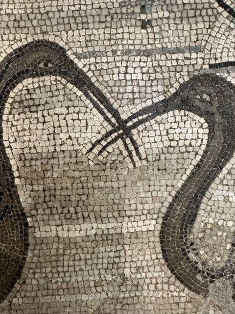 National Archaeological Museum of Naples Private Guided Tour - An In-Depth Look at the Tour