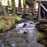 National Park Tara: House on Drina river, Banjska Stena View Point & Wooden Town - Why Choose This Tour?
