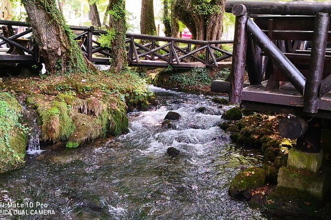 National Park Tara: House on Drina river, Banjska Stena View Point & Wooden Town - Why Choose This Tour?