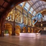 Natural Museum Adventure: Gems, Volcanoes, Dinosaurs - Practical Details and Expectations