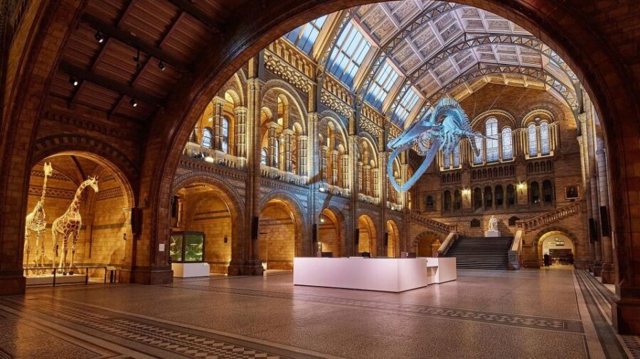 Natural Museum Adventure: Gems, Volcanoes, Dinosaurs - Practical Details and Expectations