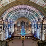 Natural Museum: Butterflies, Gems, Dinosaurs Explored - Practicalities of the Tour