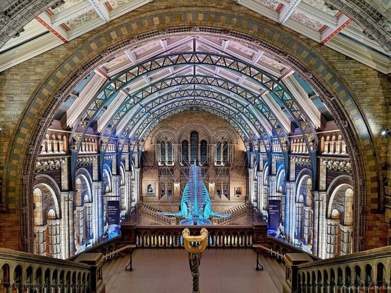Natural Museum: Butterflies, Gems, Dinosaurs Explored - Practicalities of the Tour