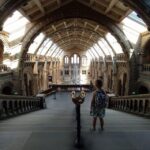 Natural Museum: Diplodocus to Blue Whale Wonders - Practical Details & Value Analysis
