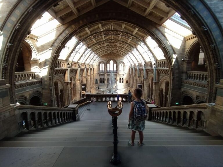 Natural Museum: Diplodocus to Blue Whale Wonders - Practical Details & Value Analysis
