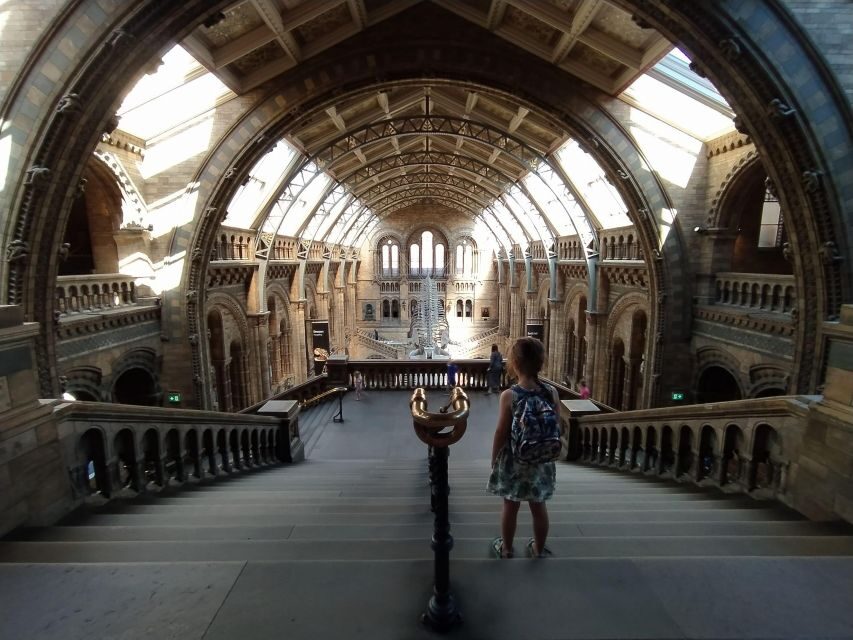 Natural Museum: Diplodocus to Blue Whale Wonders - Practical Details & Value Analysis