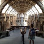 Natural Museum: Diplodocus, Volcanoes, Whale, and Gems - Breakdowns of the Itinerary