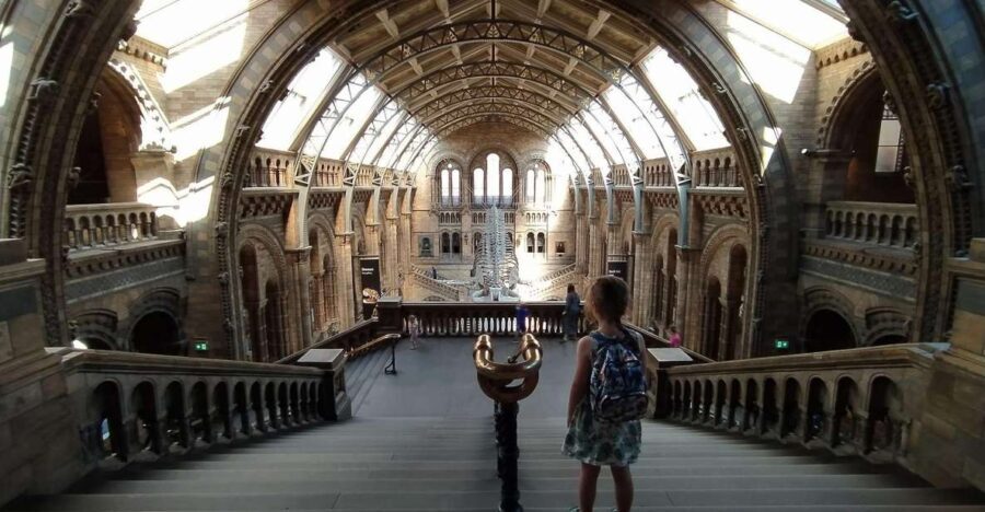 Natural Museum: Diplodocus, Volcanoes, Whale, and Gems - Breakdowns of the Itinerary
