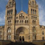 Natural Museum Secrets: Diplodocus, Blue Whale, Evolution - Why This Tour Offers Great Value