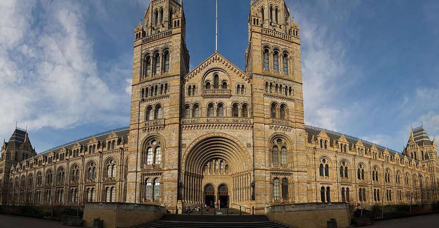 Natural Museum Secrets: Diplodocus, Blue Whale, Evolution - Why This Tour Offers Great Value