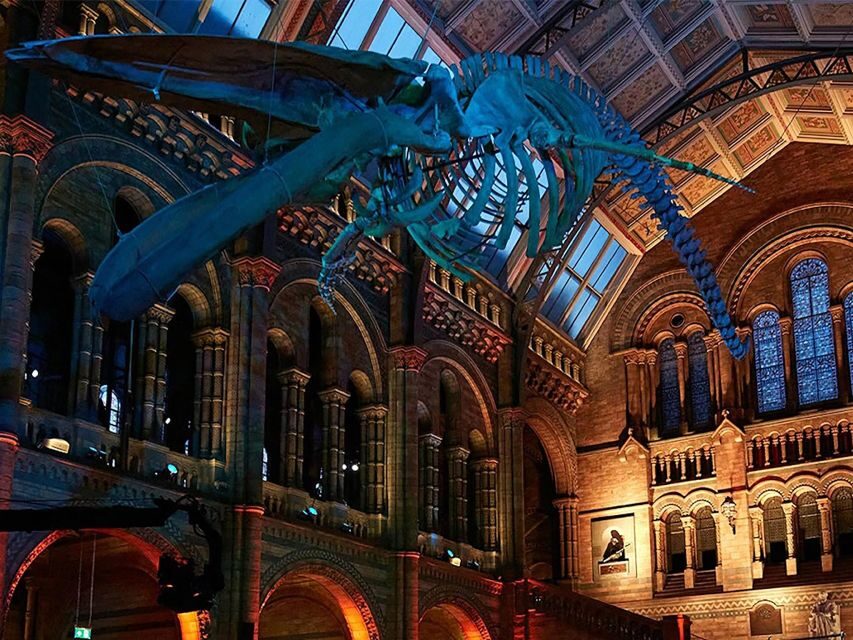 Natural Museum Tour: Volcanoes, Earthquakes, Blue Whale - The Itinerary Breakdown