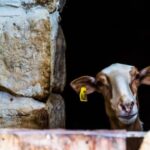 Nature Highlights Private Walking Tour with Transport - Practical Aspects and What to Expect