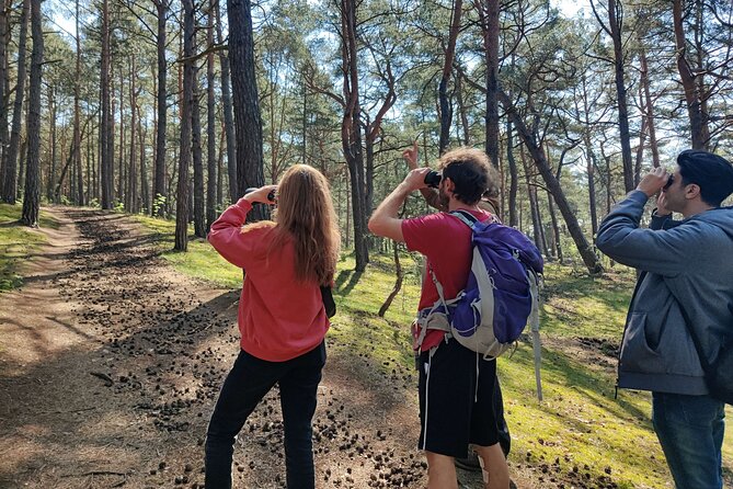 Nature Walk and Wildlife Tour in Sobieszewo Island - Key Points