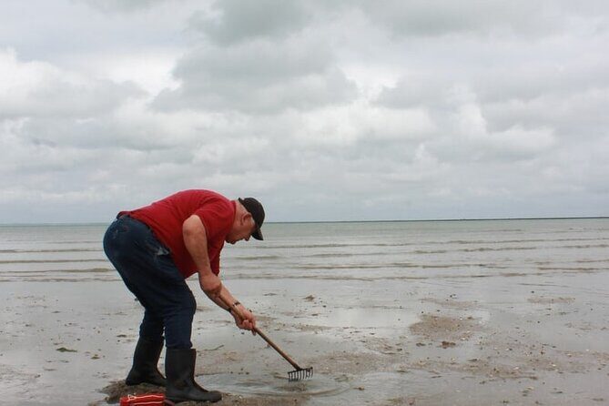 Nature walk to discover Noirmoutier and its charms - What to Expect at Each Stop