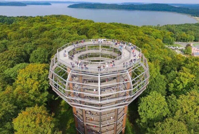 Naturerbe Zentrum Rügen & Treetop Walk Experience - Value & Experience Analysis