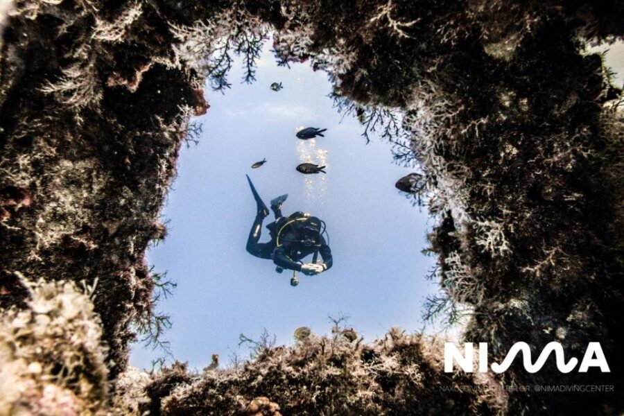 Naxos: Discover Scuba Dive with Nima Dive Center - The Itinerary: What To Expect