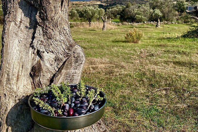 Naxos in 5 senses - The Food and Beverage Component